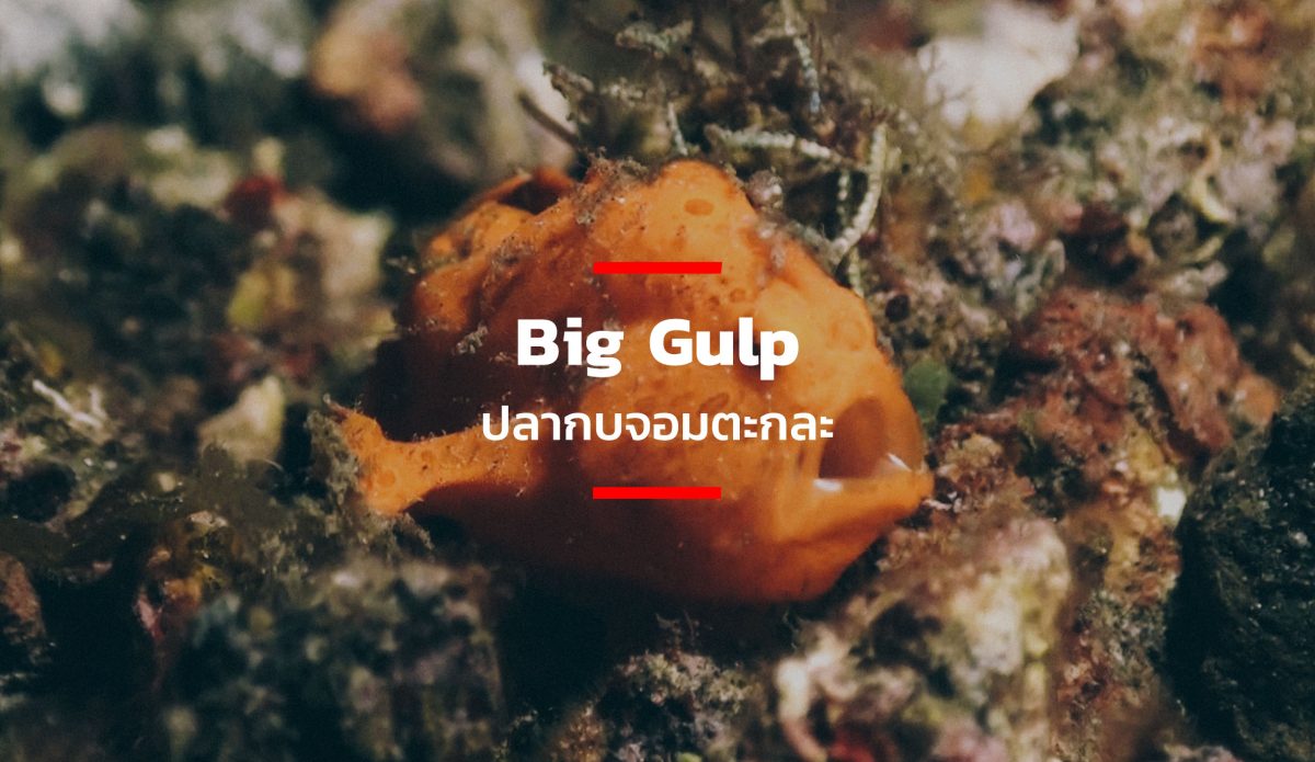 Big Gulp ปลากบจอมตะกละ – THE STANDARD