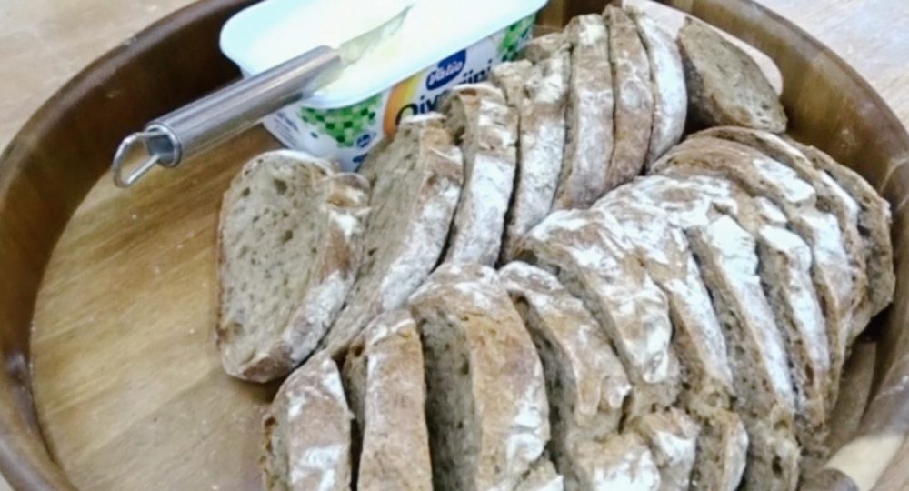 ผลวิจัยเผย ประชากรแมลงทั่วโลกลดลง มากกว่า 40% อาจสูญพันธุ์ภายในไม่กี่ ...