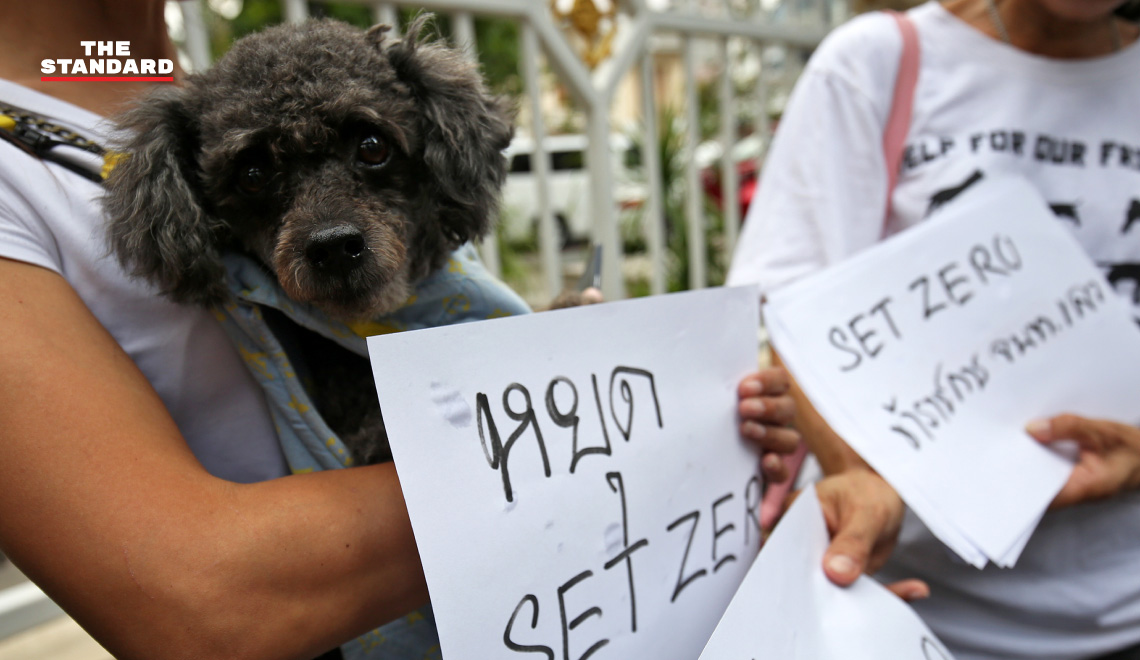 รวมตัวค้าน Set Zero สุนัขจรจัด – THE STANDARD