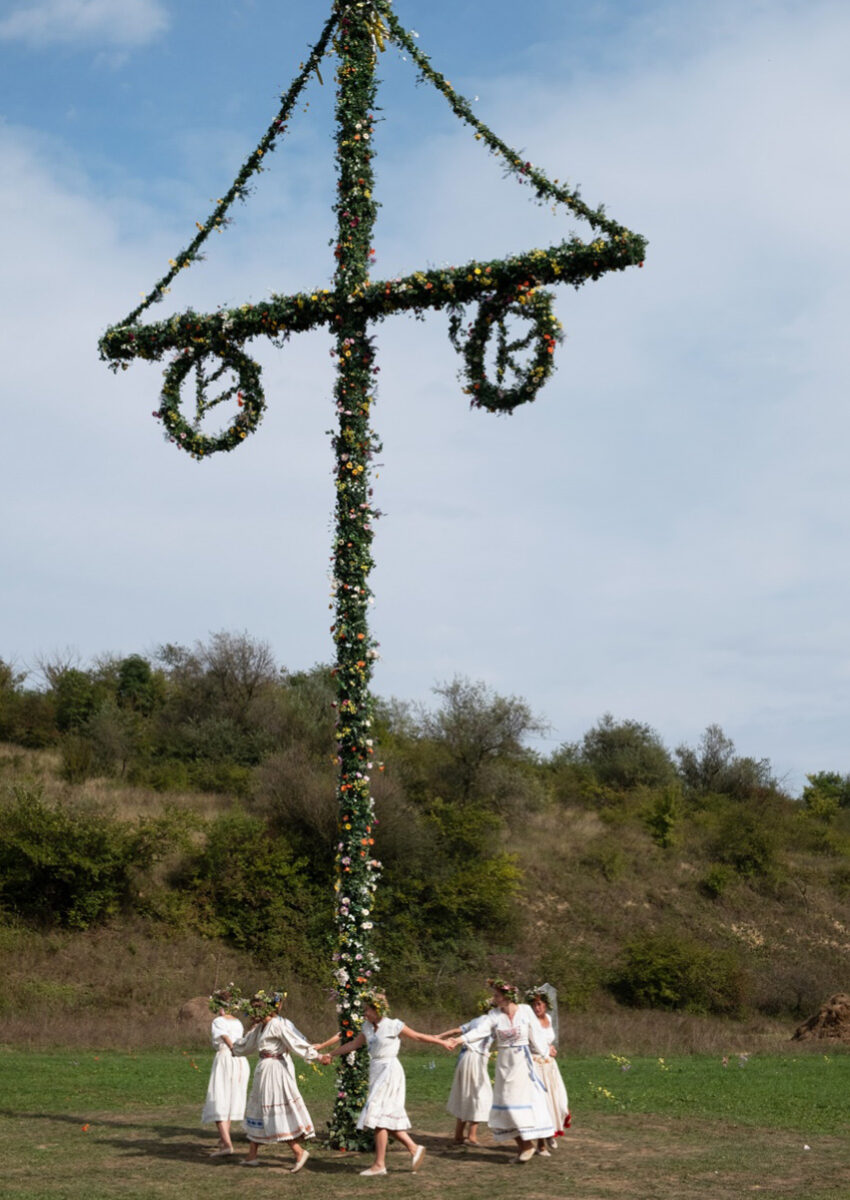 ทำความรู้จัก Midsommar หนังเขย่าขวัญที่ฉาบหน้าด้วยเทศกาลรื่นเริง ดอกไม้ ...