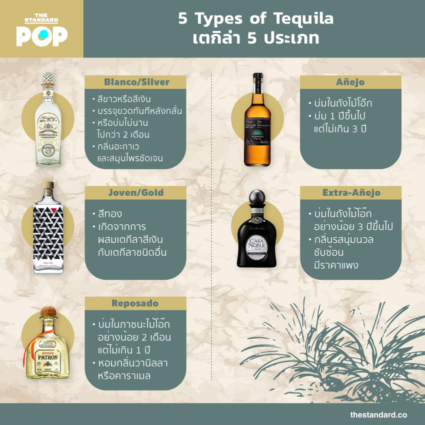 Tequila 101: จากต้นกำเนิดถึงอุตสาหกรรมสร้างชาติเม็กซิกัน ที่ทำให้หัน ...
