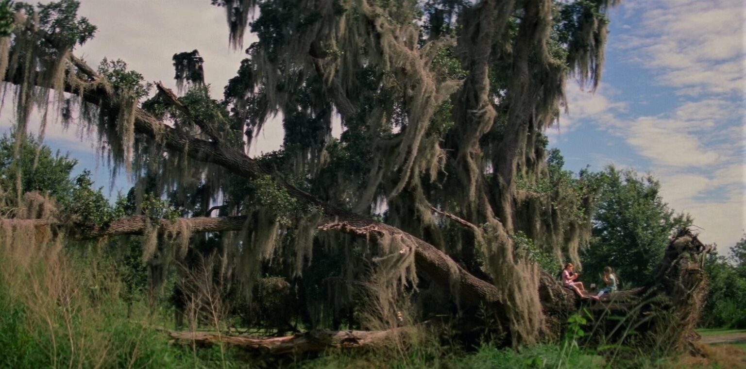 The Florida Project (2017) ดินแดนฝันสลายของคนชายขอบ – THE STANDARD