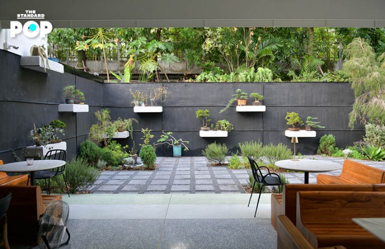 Ang Morr ฟื้นตำนานกุ๊กช็อป ความอร่อยของเมนูวัยเยาว์ – THE STANDARD