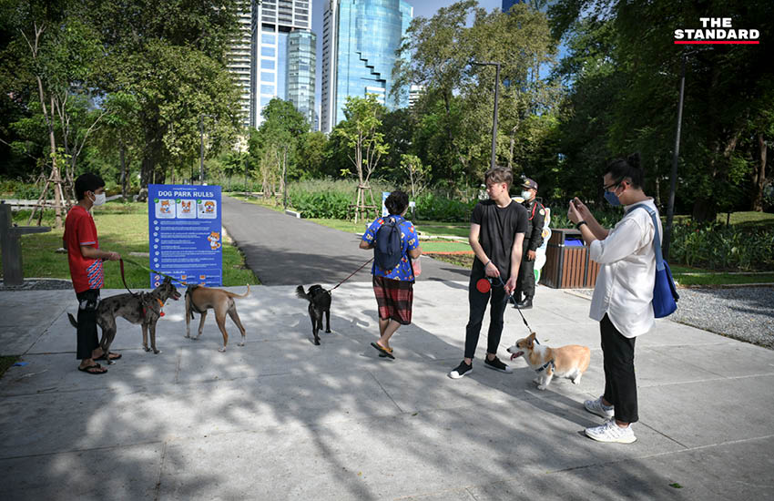 Dog Park เปิดแล้ววันแรกที่ ‘สวนเบญจกิติ’ สวนน้องหมากลางใจเมือง