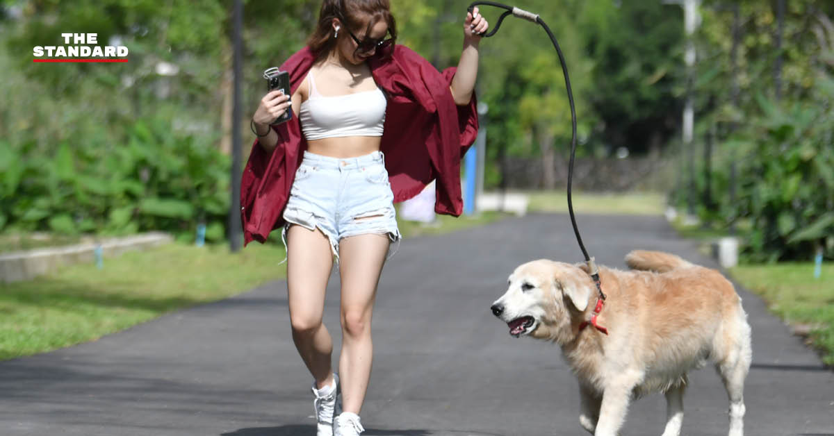 Dog Park เปิดแล้ววันแรกที่ ‘สวนเบญจกิติ’ สวนน้องหมากลางใจเมือง