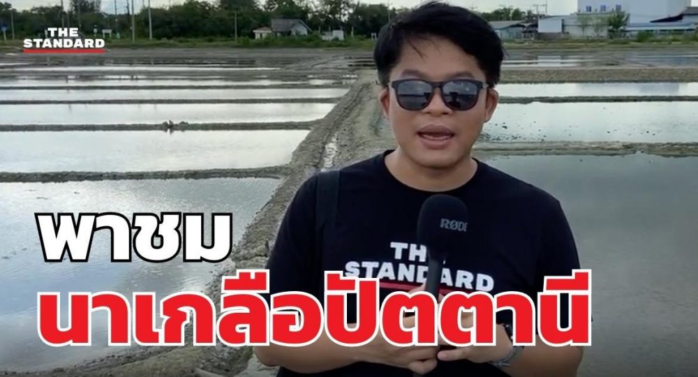 พาชม PATTANI DECODED 2022: DEEP SALT เทศกาลที่จะชวนเราไปทำความรู้จัก ‘เกลือหวานปัตตานี’ – THE ...