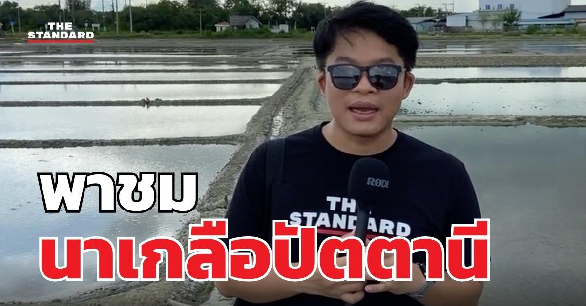 ชมคลิป: พาชมนาเกลือปัตตานี #PATTANIDECODE2022 | THE STANDARD