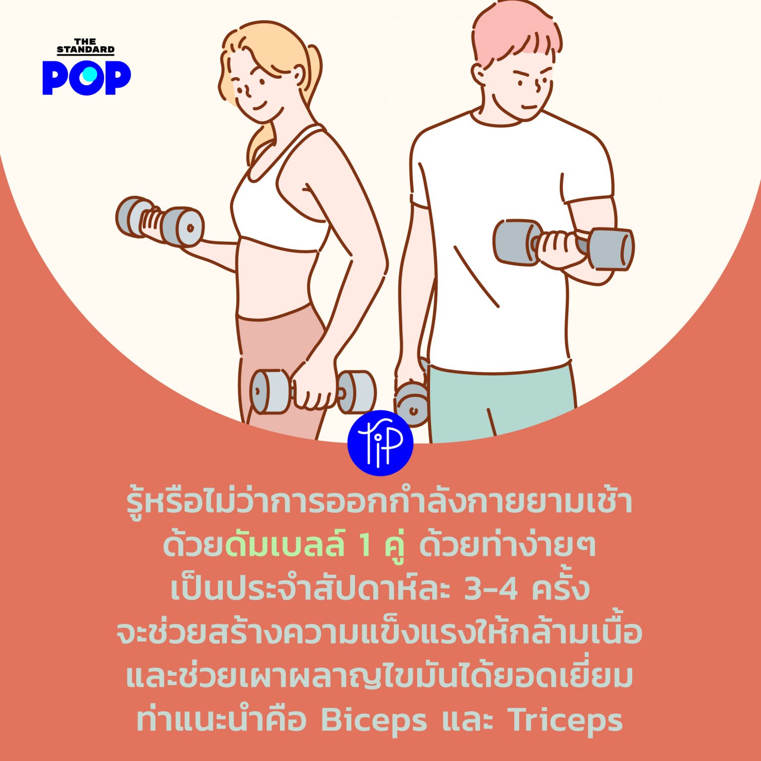 POP TIP: การยกดัมเบลล์วันละ 10 นาที สร้างความแข็งแรงให้กล้ามเนื้อ และช่วยเผาผลาญไขมันได้ยอด ...