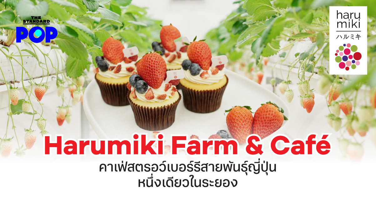 ชมคลิป: Harumiki Farm & Café คาเฟ่สตรอว์เบอร์รีญี่ปุ่น หนึ่งเดียวในระยอง