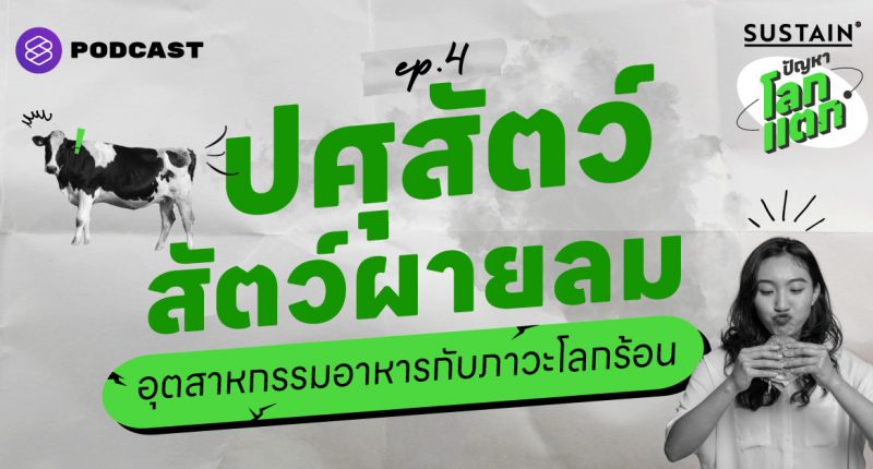 THE STANDARD PODCAST | พอดแคสต์จาก THE STANDARD