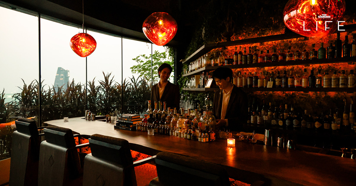 Gir ค็อกเทลบาร์บนตึกสูงใจกลางเมือง ที่อยากให้คนกับธรรมชาติอยู่ร่วมกัน