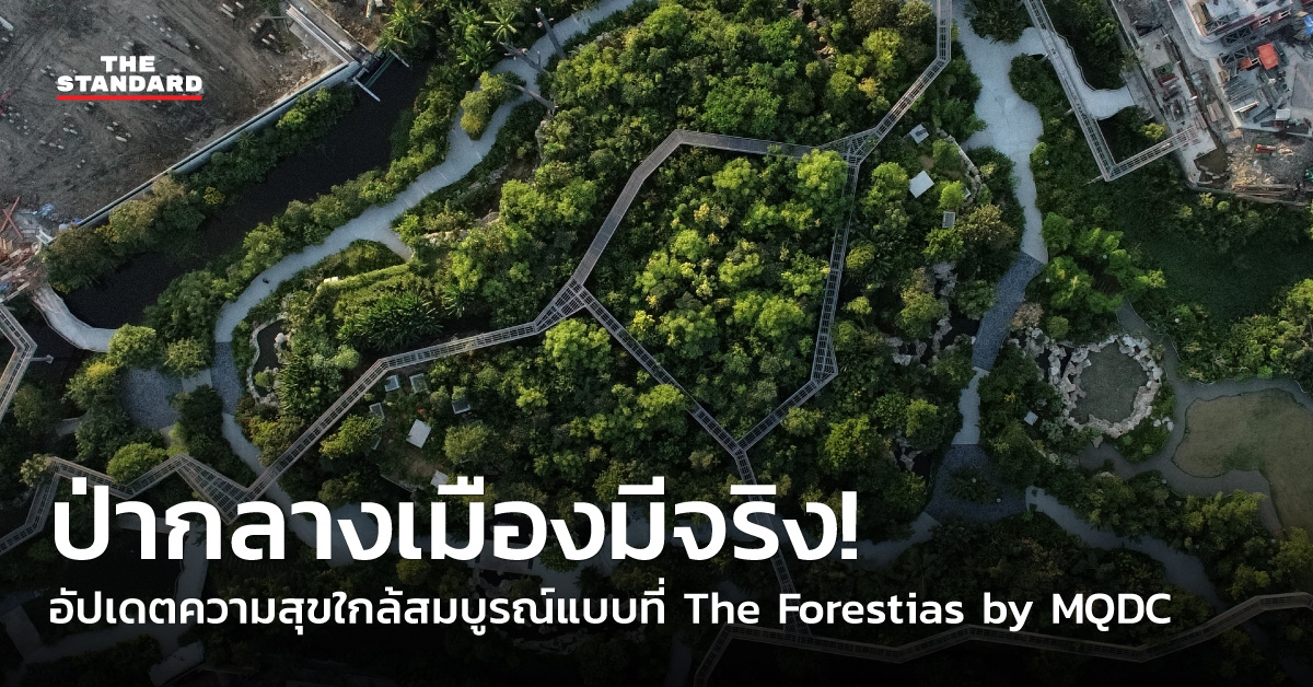 ชมคลิป: ป่ากลางเมืองมีจริง! อัปเดตความสุขใกล้สมบูรณ์แบบที่ The ...