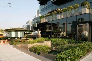 Hollywood คลาสเต้น เพลงสนุก เบิร์นทั่วร่าง ที่ The Standard Gym