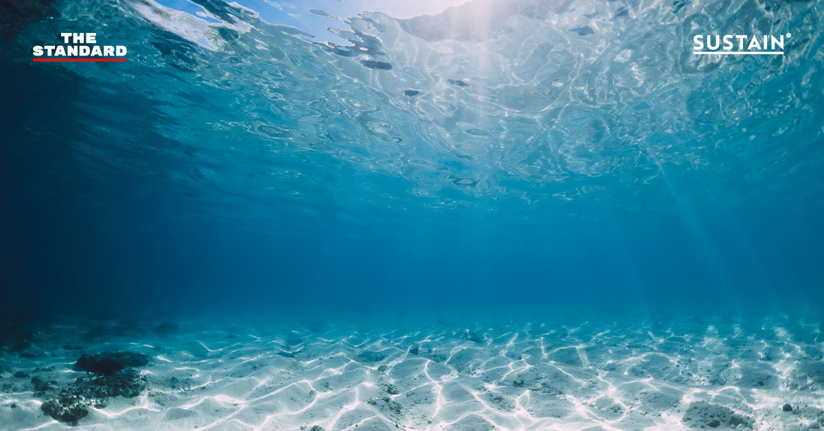 อุณหภูมิผิวน้ำทะเลโลกพุ่งทำนิวไฮแตะ 21.1 องศาเซลเซียสในเดือนเมษายนนี้