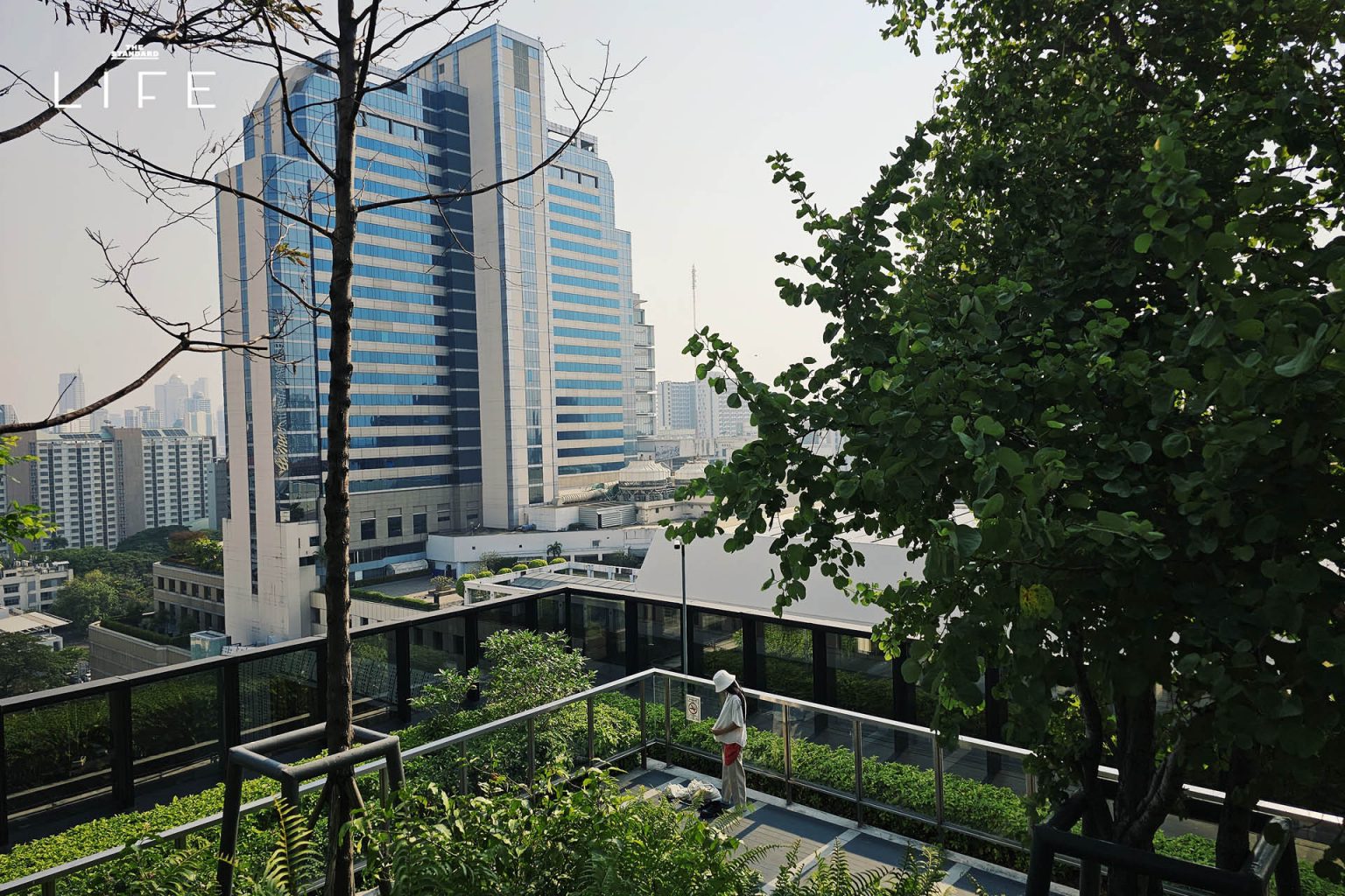 Sky Scape สวนสีเขียวลอยฟ้า แหล่งฮีลคนเมืองใจกลางสยาม