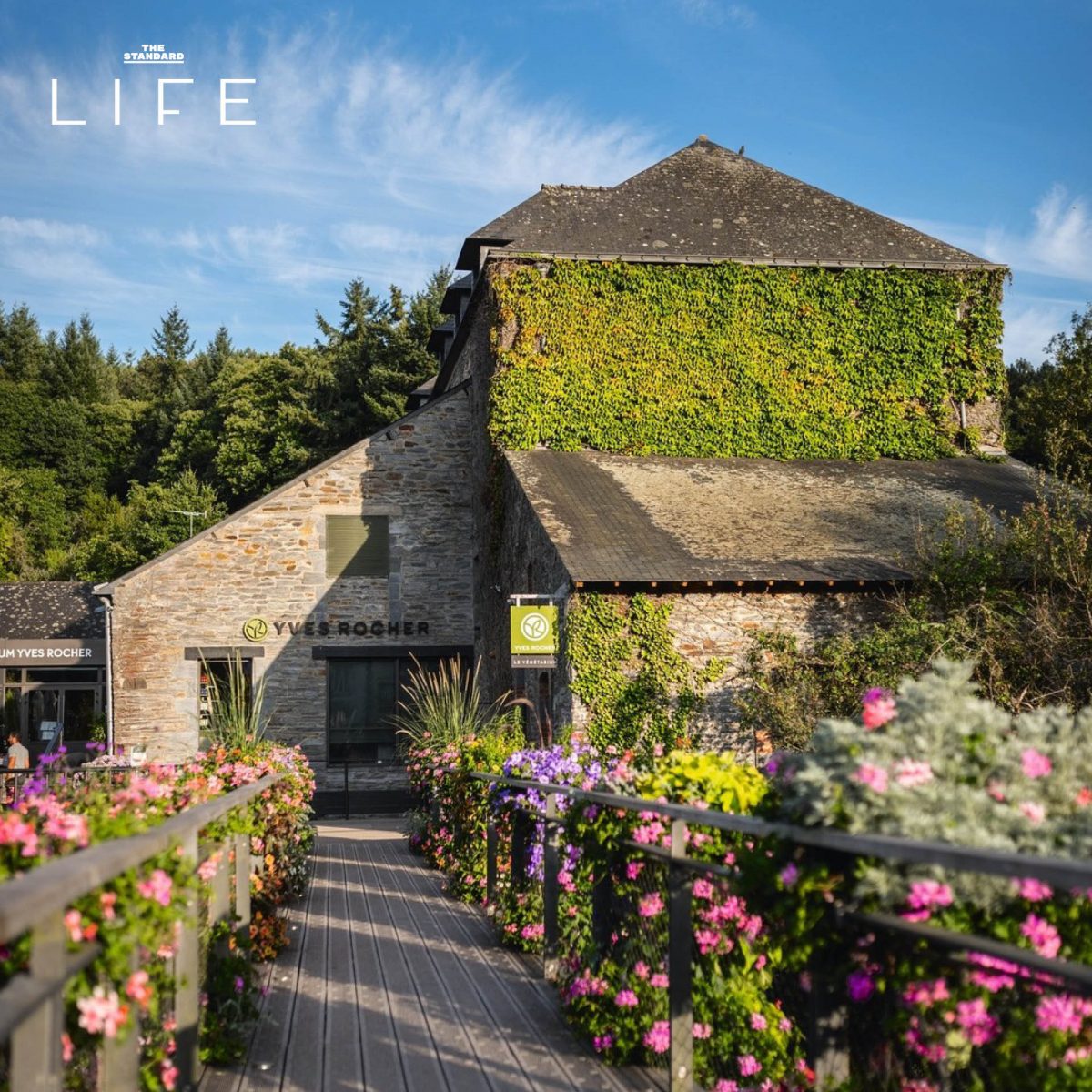 Yves Rocher แบรนด์ที่มีหัวใจรักษ์โลกมาตั้งแต่ Day 1