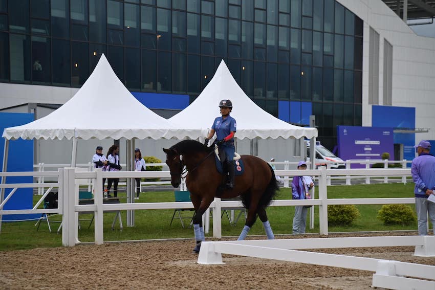 เจ้าฟ้าสิริวัณณวรีฯ ทรงฝึกซ้อมร่วมกับม้า Samba King ก่อนแข่งขันเอเชียน ...