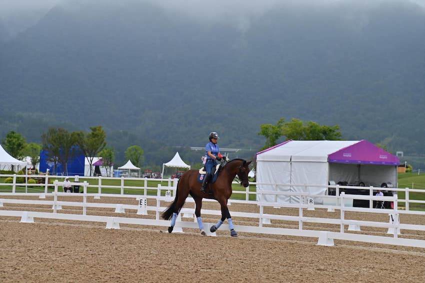 เจ้าฟ้าสิริวัณณวรีฯ ทรงฝึกซ้อมร่วมกับม้า Samba King ก่อนแข่งขันเอเชียน ...